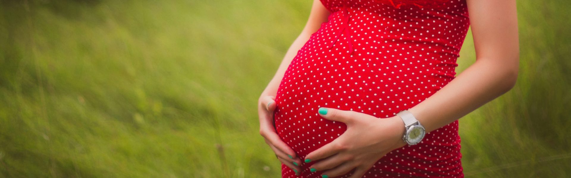 Surrogate & Pregnancy Fees - Simple Surrogacy