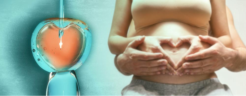 Egg Donation: A Brief History - Simple Surrogacy